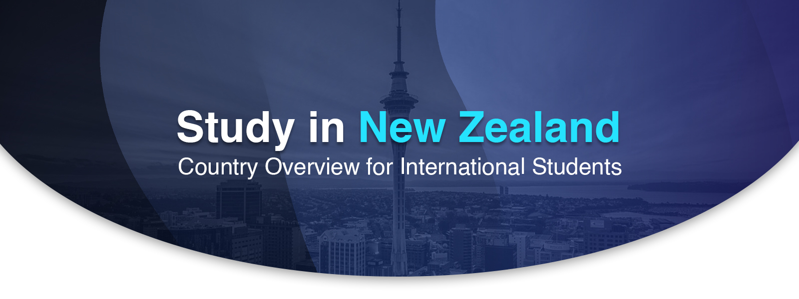 Study in New Zealand: Courses, Scholarships & Opportunities